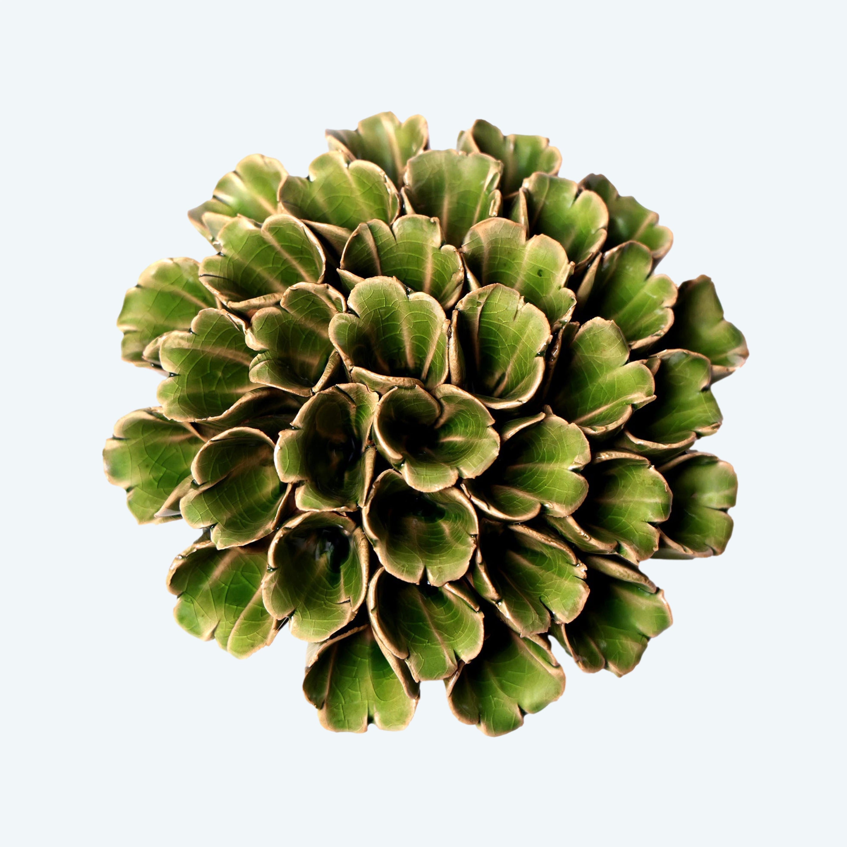 Coral 5 Ceramic Flower With Keyhole For Wall Hanging Polyp Green Large